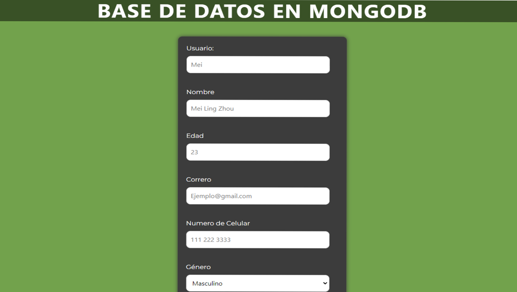 SiegBoss | Portafolio